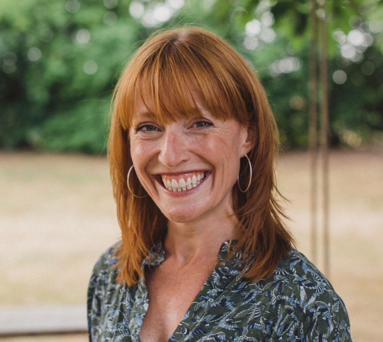 Swallowtail Hill - Kip Hideaways