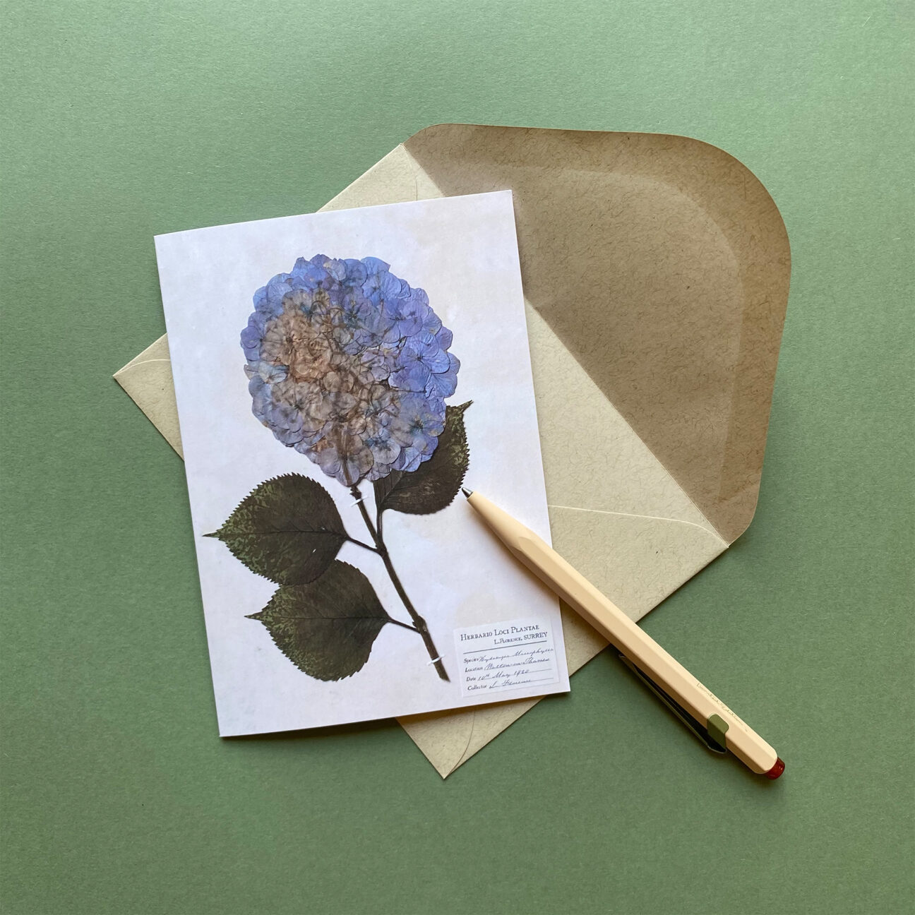 Pressed Flower Cards - Kip Hideaways