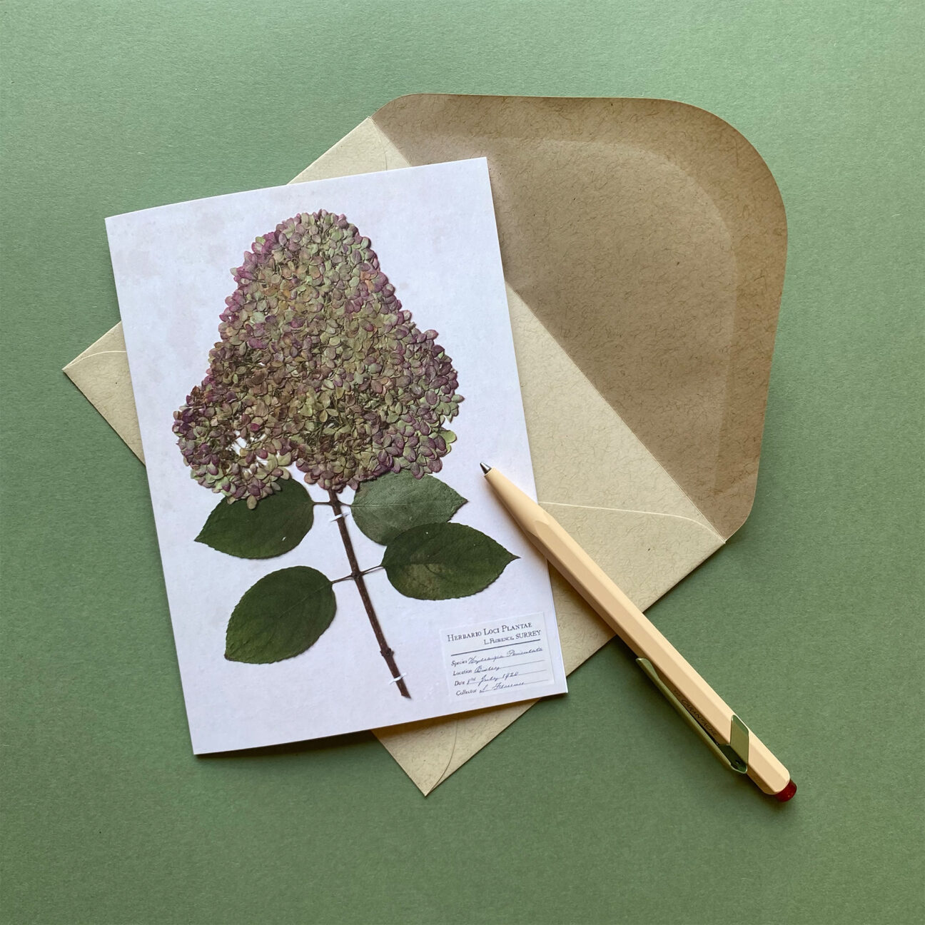 Pressed Flower Cards - Kip Hideaways