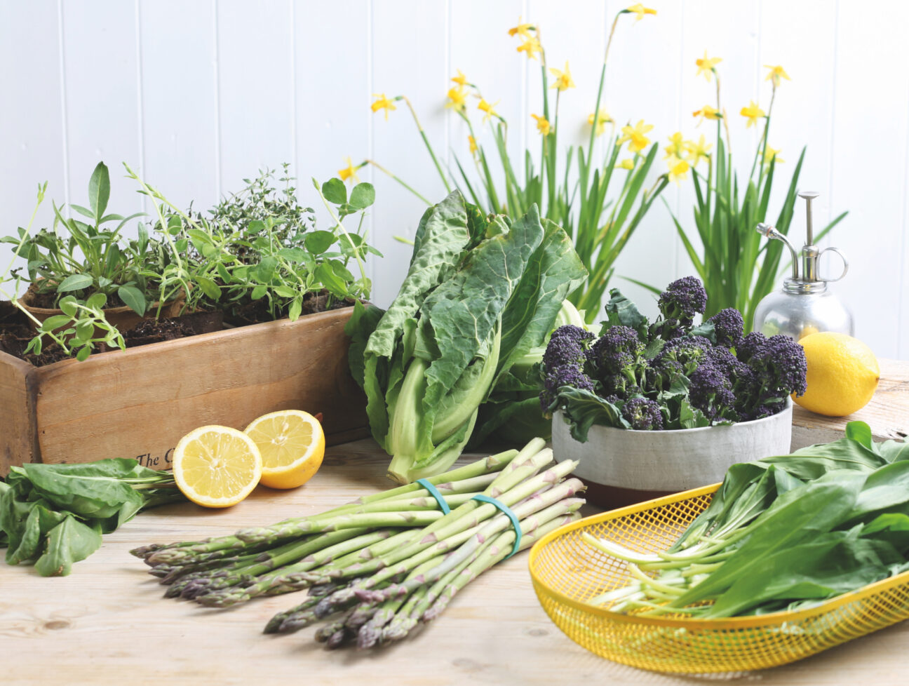 Join us. - Kip Hideaways