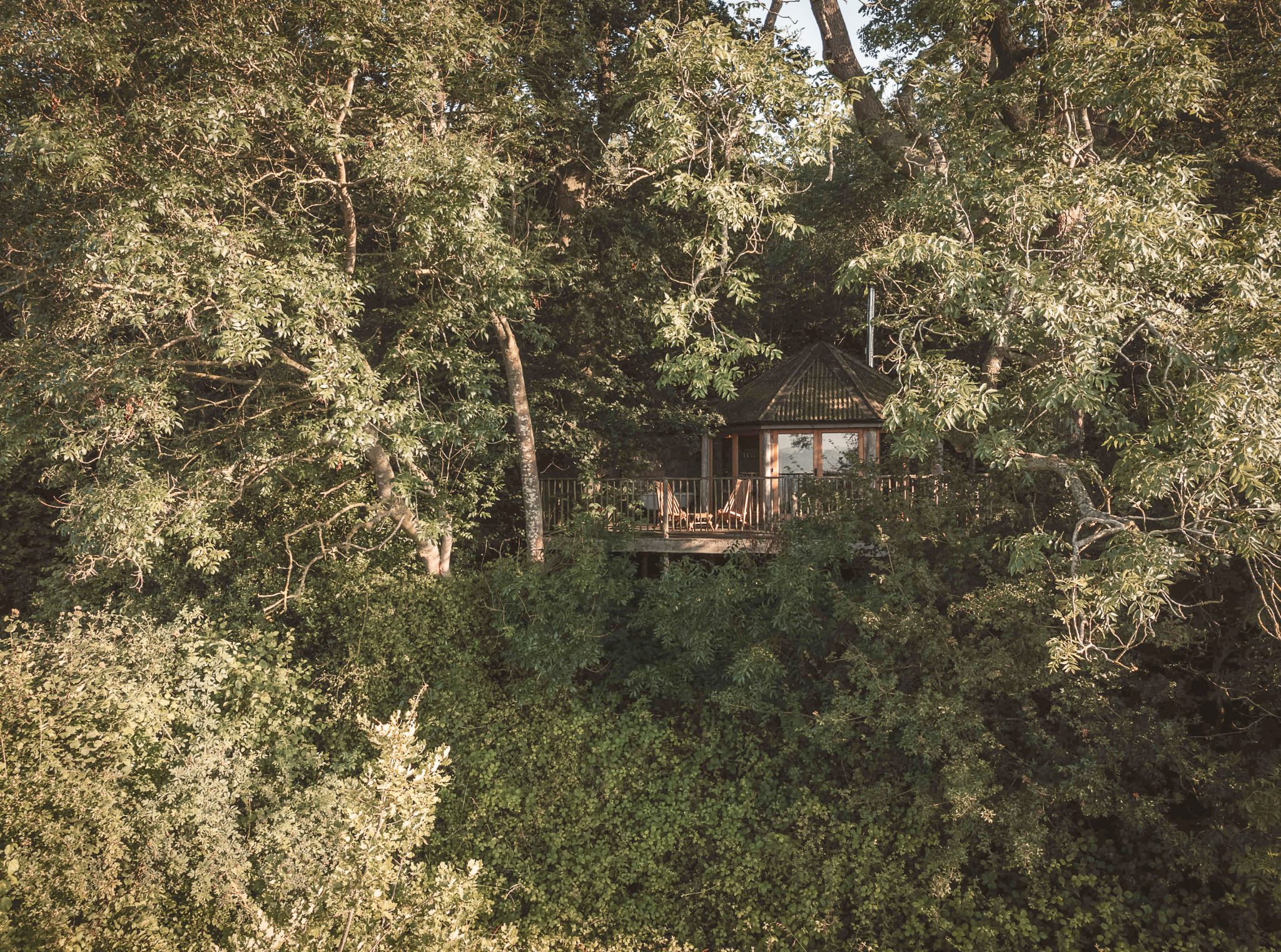 Kip with Friends. - Kip Hideaways